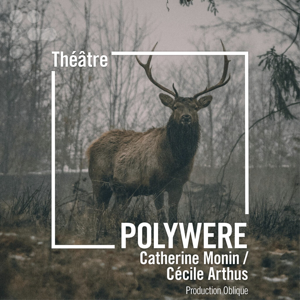 Polywere - Espace Bernard-Marie Koltès - METZ (théâtre)